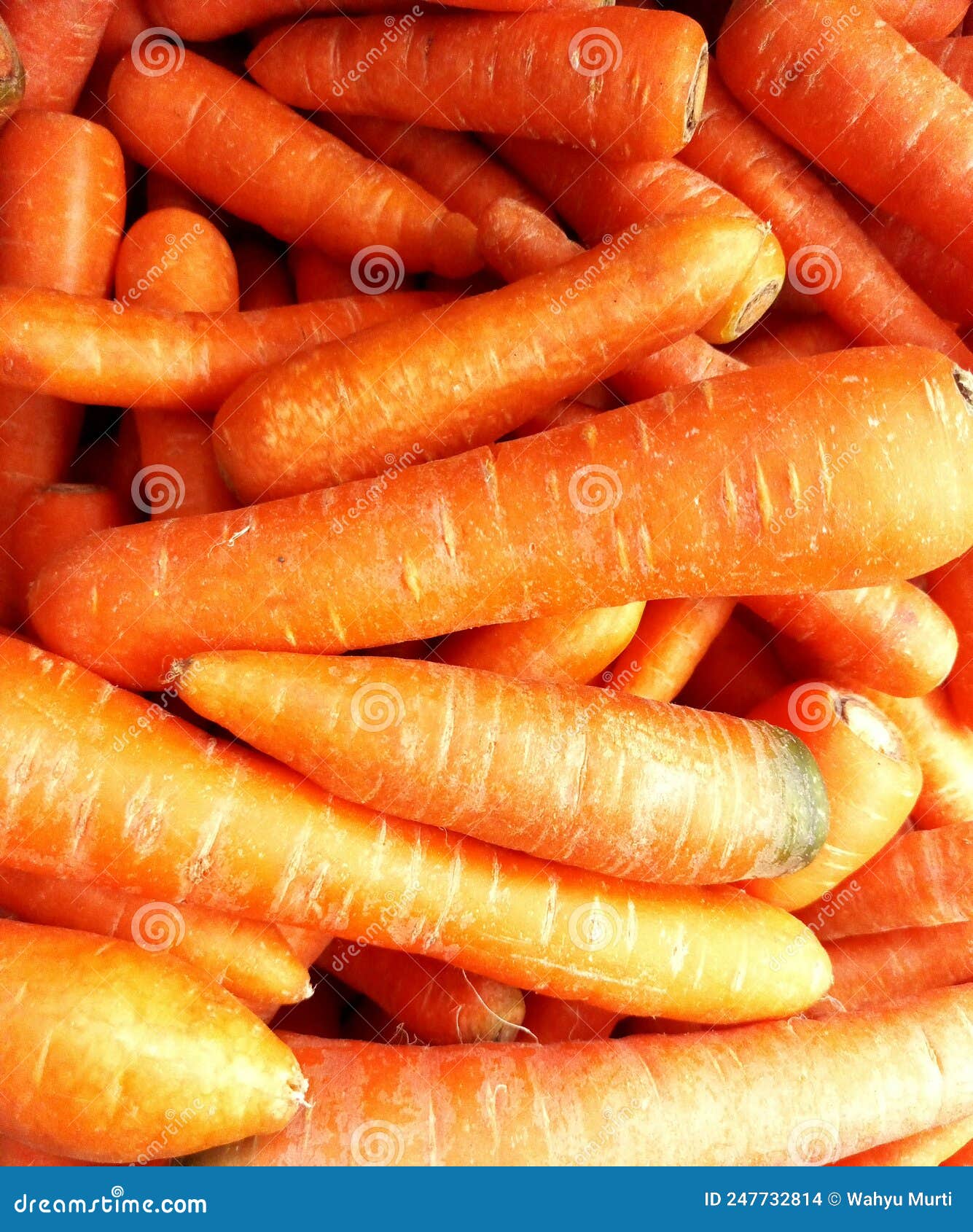 Carrot stock photo. Image of fruit, carrot, meat, snack - 247732814