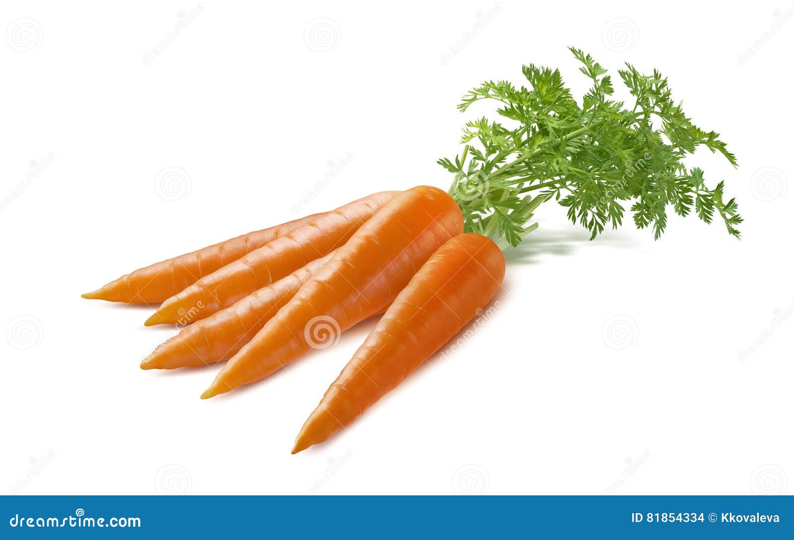 519,412 Carrot Stock Photos - Free & Royalty-Free Stock Photos from ...