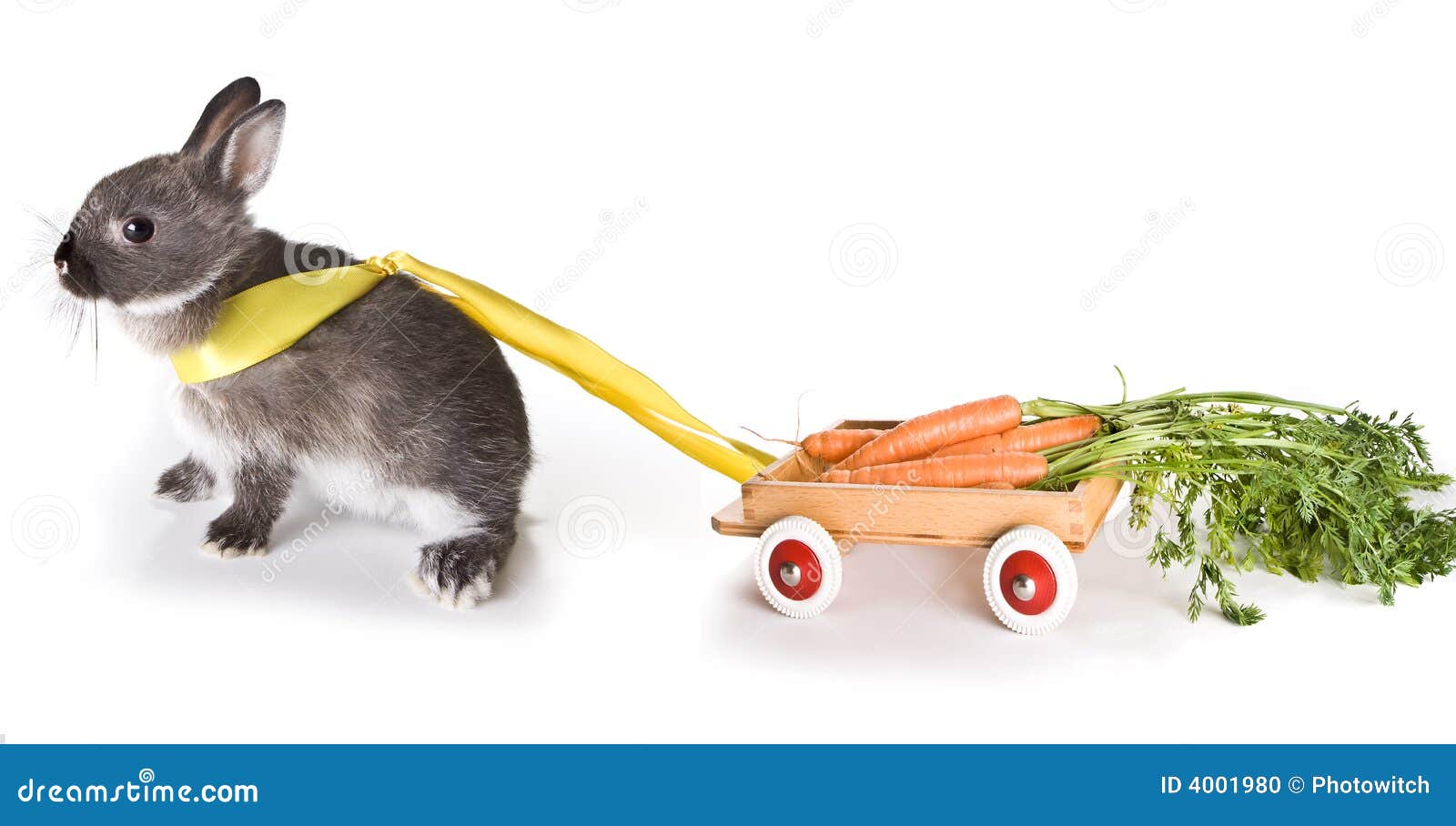 Carrot cart stock photo. Image of close, rabbits, isolated - 4001980