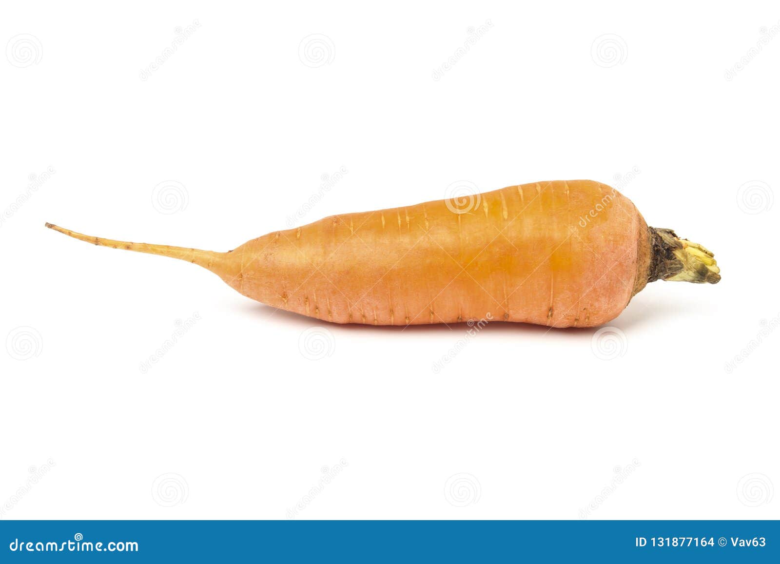 Carrot stock photo. Image of isolated, natural, eating - 131877164