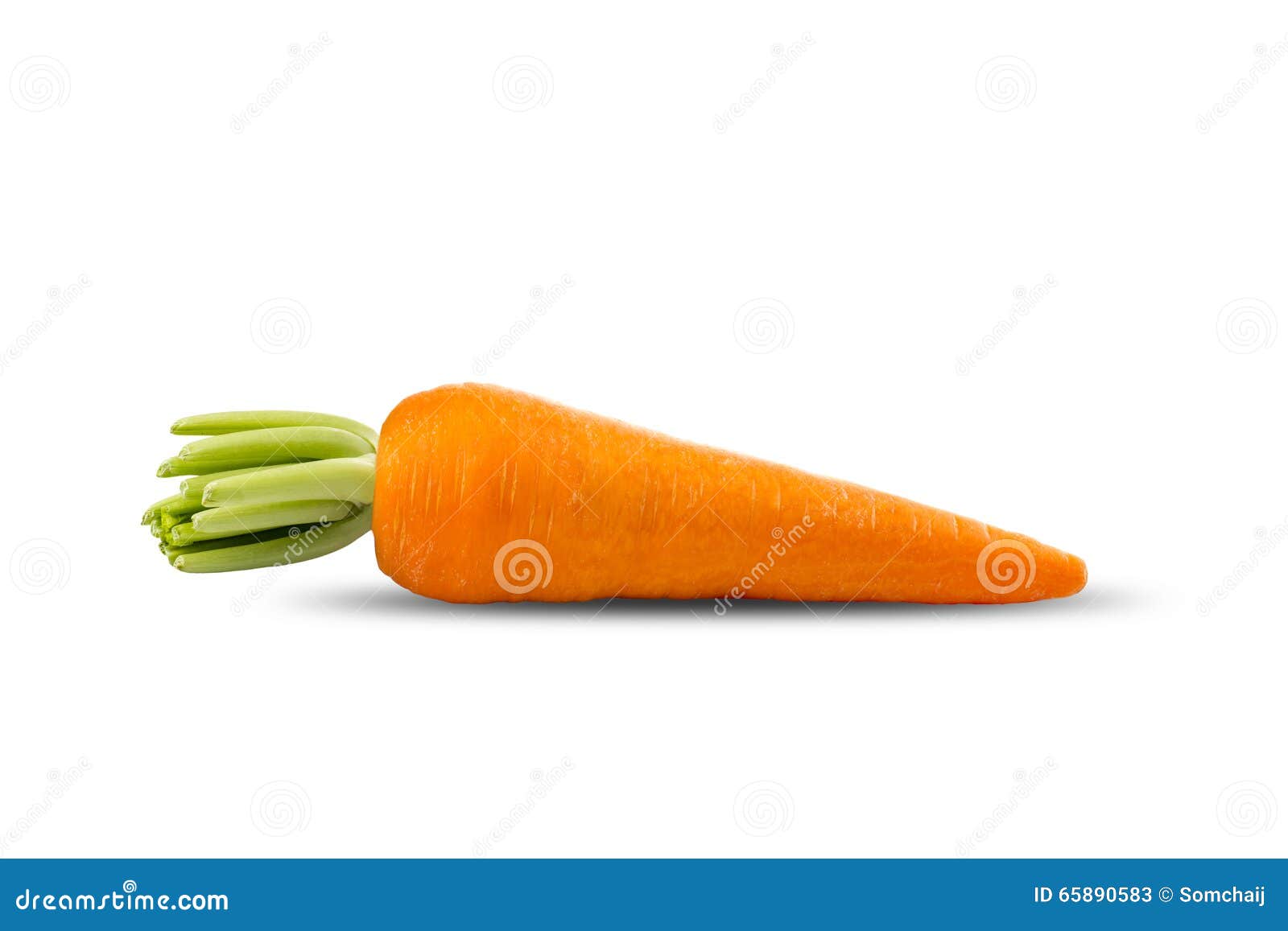 Carrot stock image. Image of closeup, harvest, health - 65890583