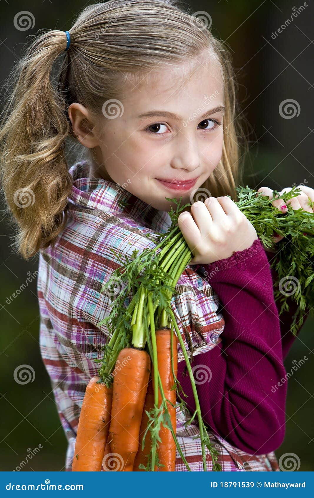 Carrot Farming Child stock image. Image of orange, fresh - 18791539