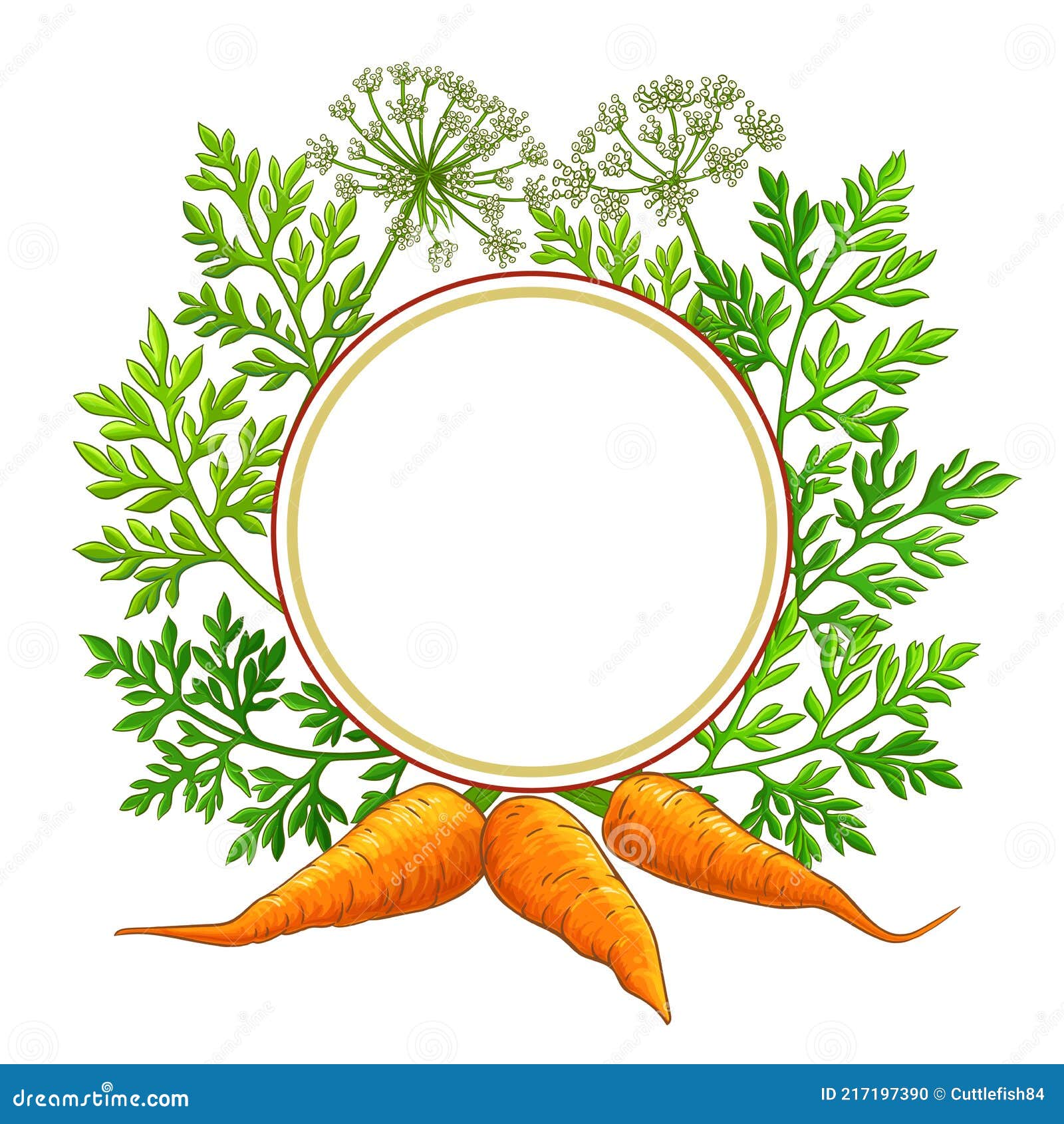 Carrot Frame on White Background Stock Vector - Illustration of vegan ...