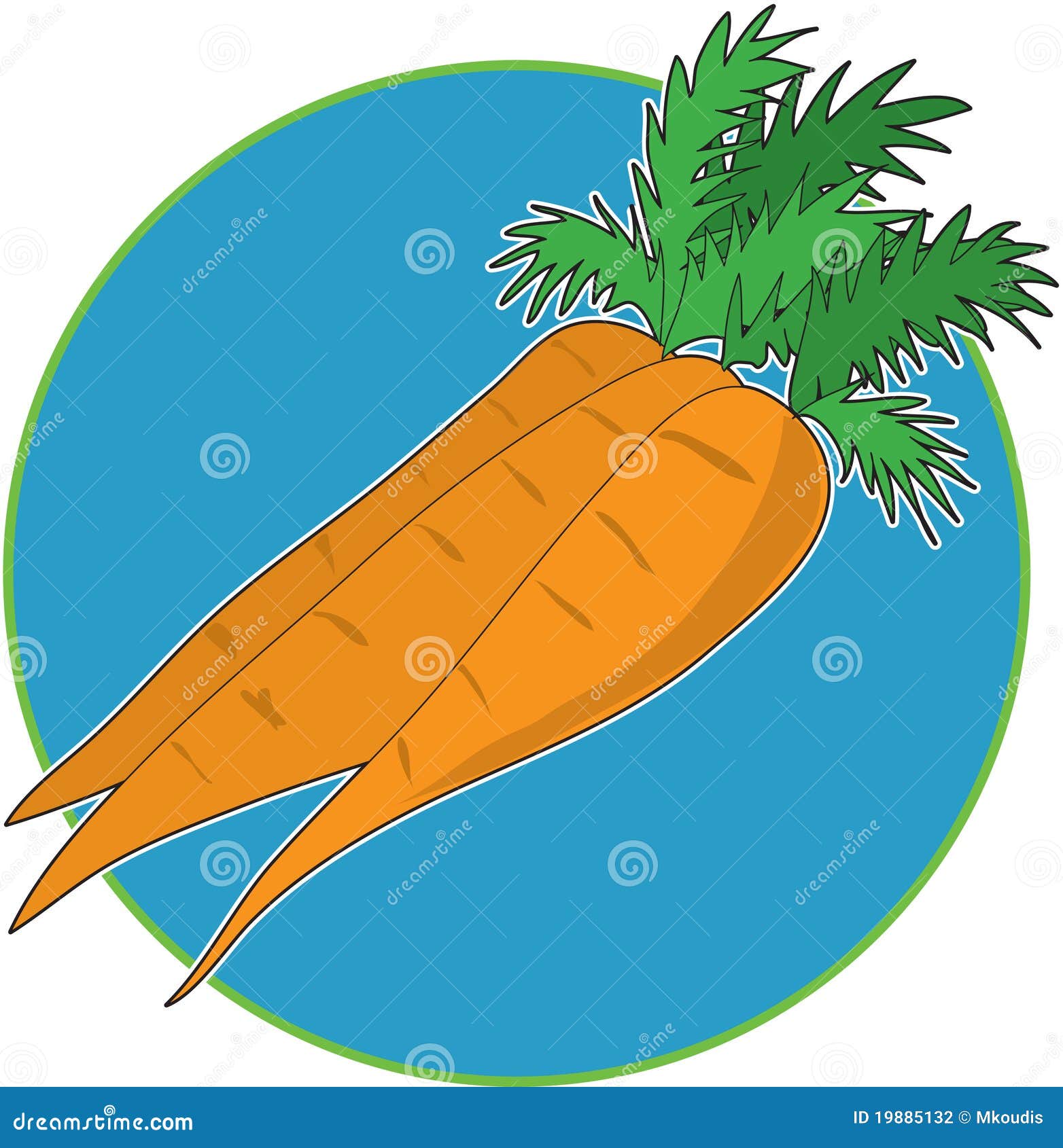Carrot Graphic stock vector. Illustration of design, plant - 19885132