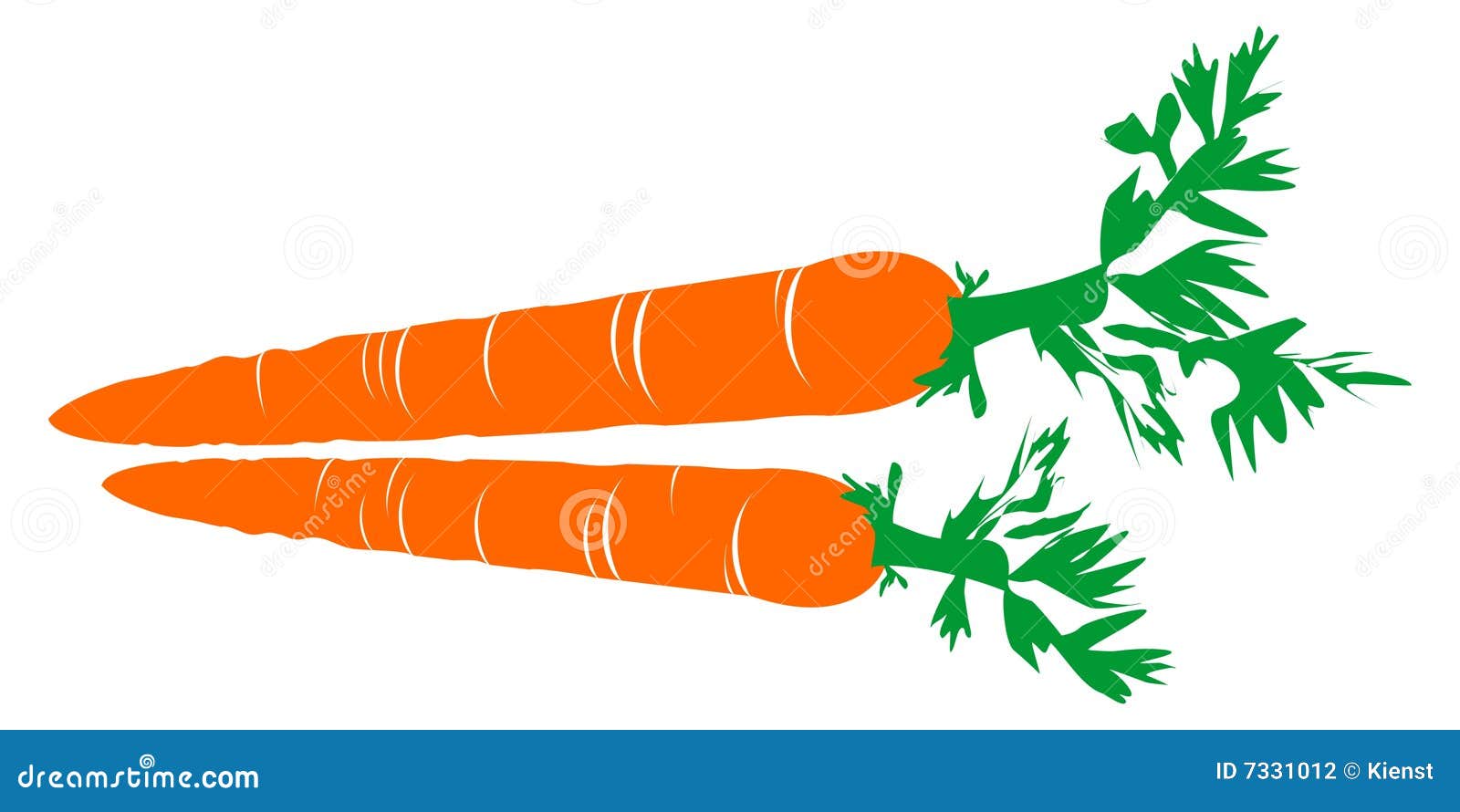 Carrot illustration stock vector. Illustration of nutrition - 7331012