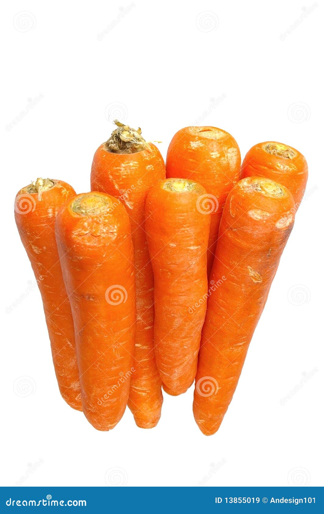 Carrot isolated stock image. Image of produce, freshness - 13855019
