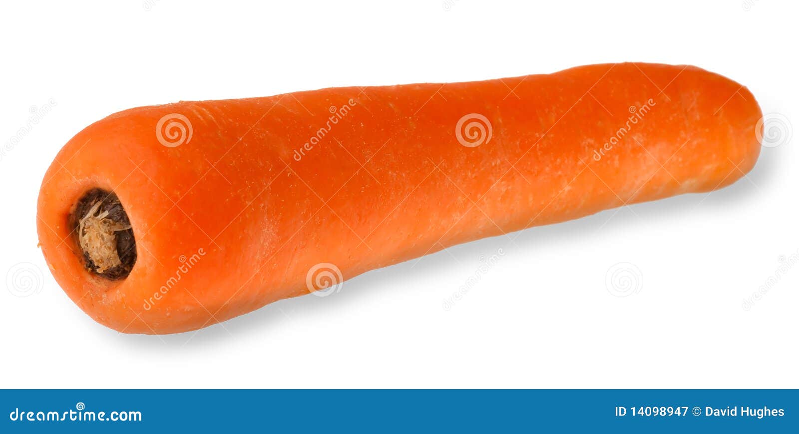 Carrot isolated stock image. Image of carrot, young, health - 14098947