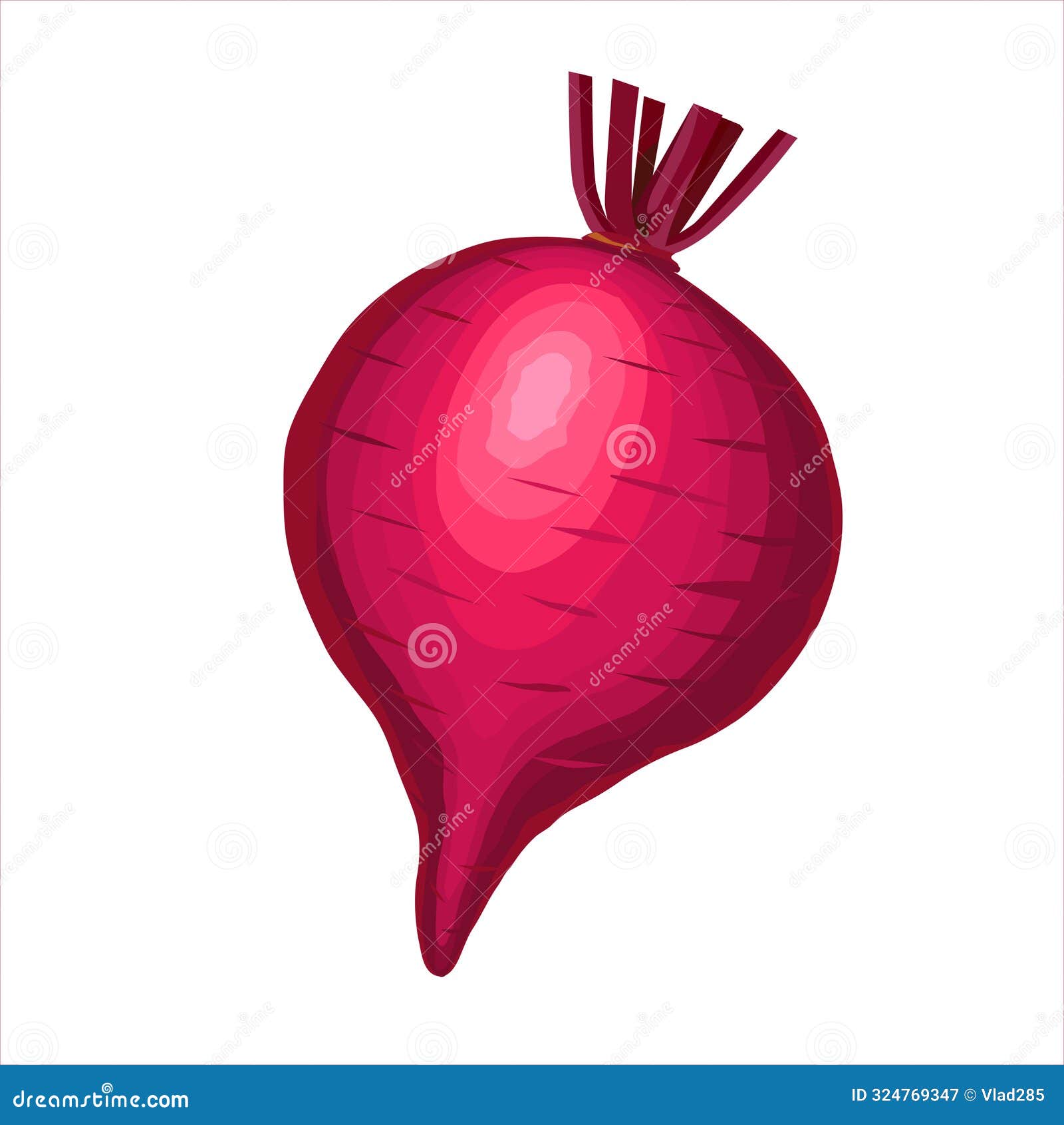 Image of a ripe beetroot. stock illustration. Illustration of diet ...