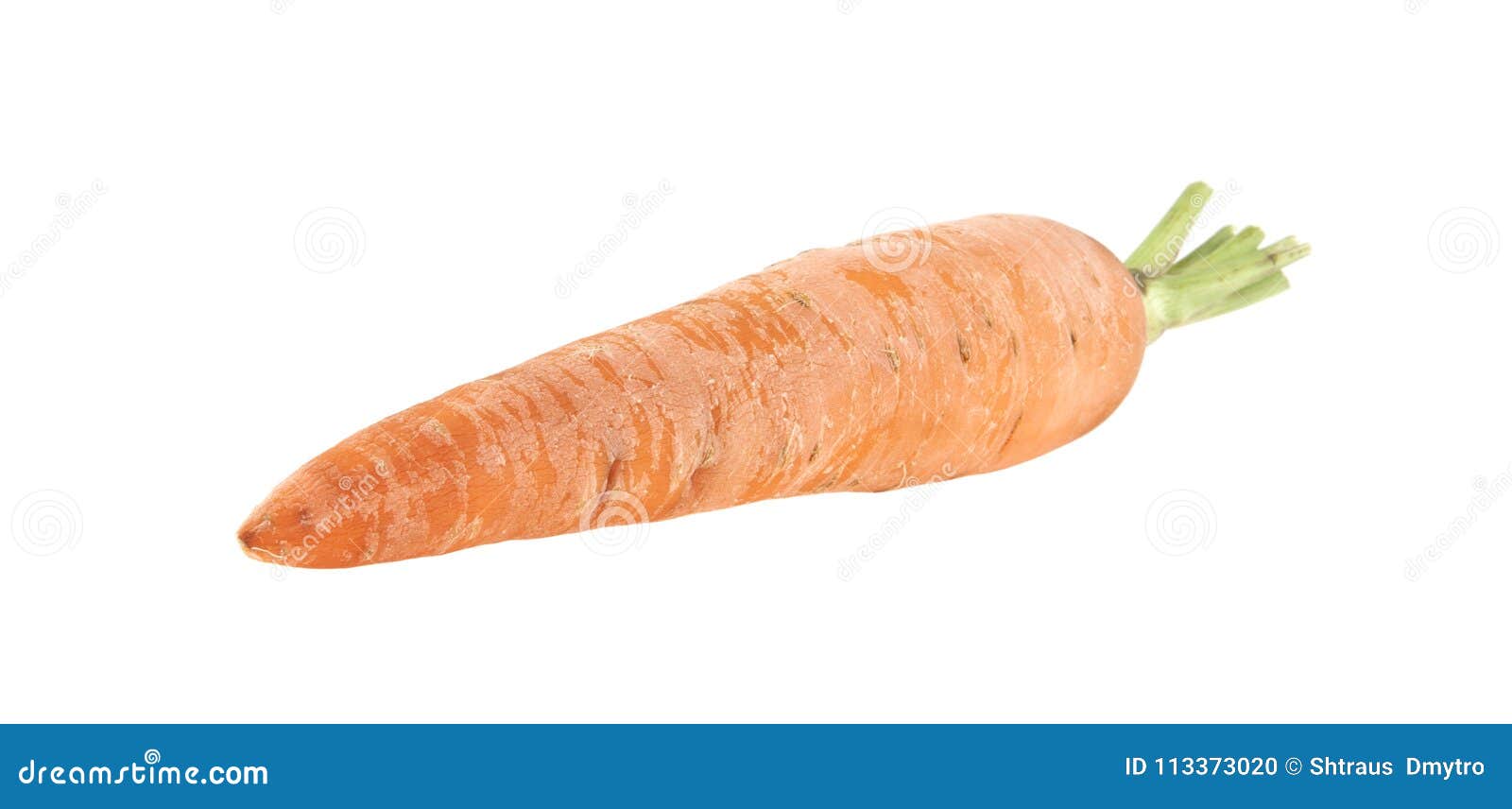 Carrot isolated on white stock photo. Image of nature - 113373020