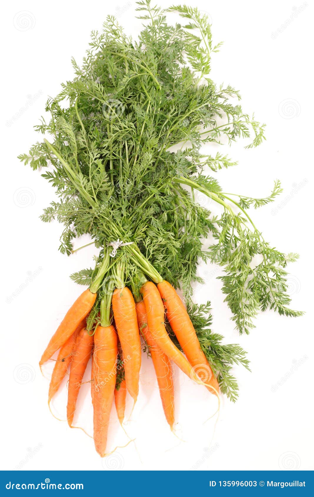 Carrot and leaf stock image. Image of healthy, carrot - 135996003