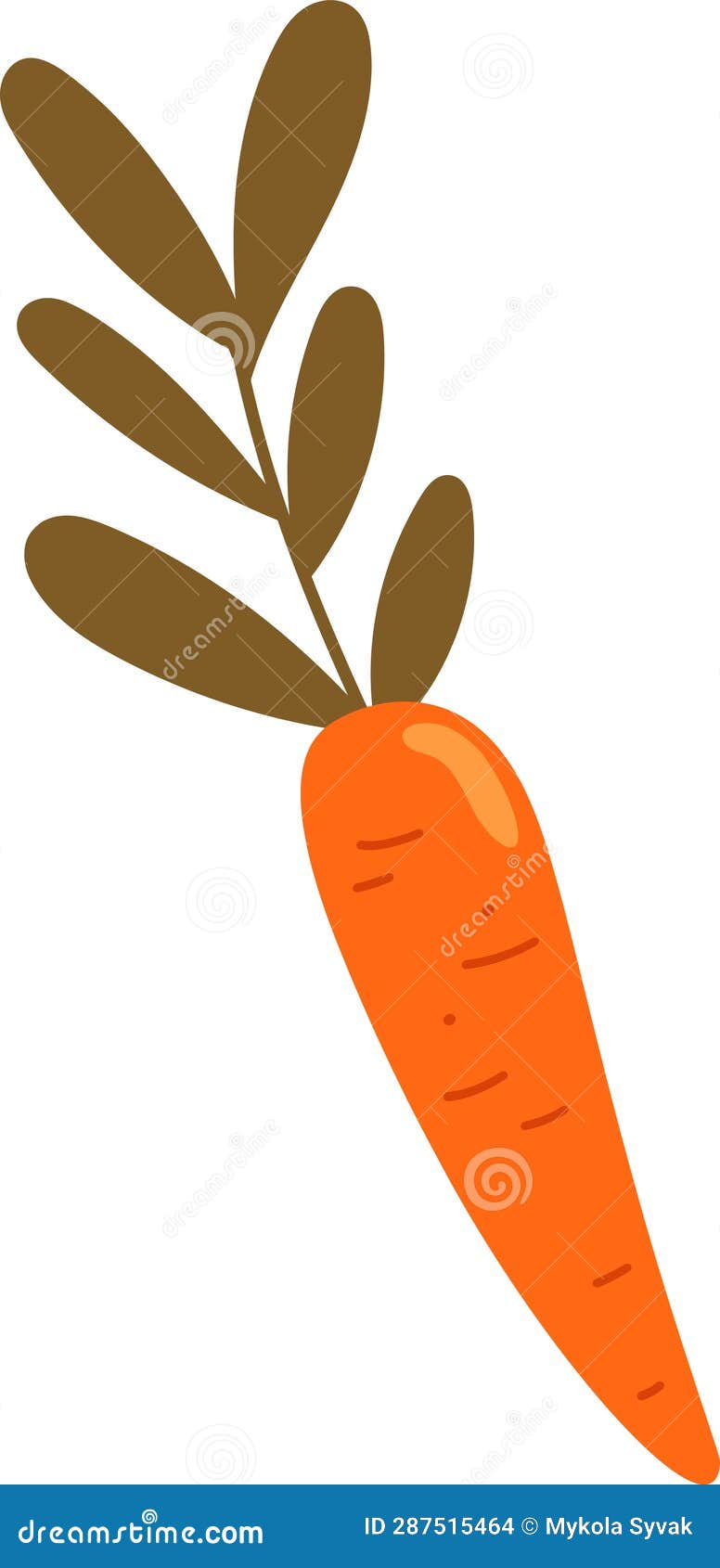 Carrot with Leaves stock illustration. Illustration of root - 287515464