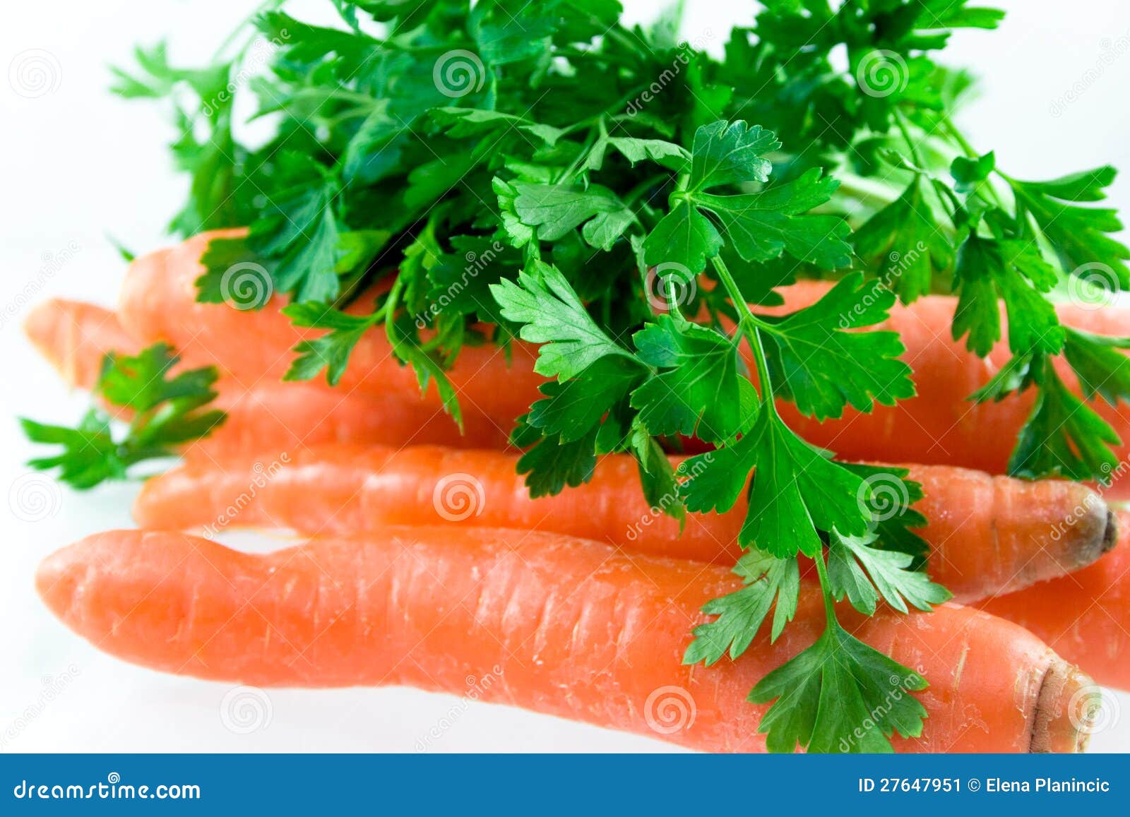 Carrot and parsley stock image. Image of cooking, bunch - 27647951
