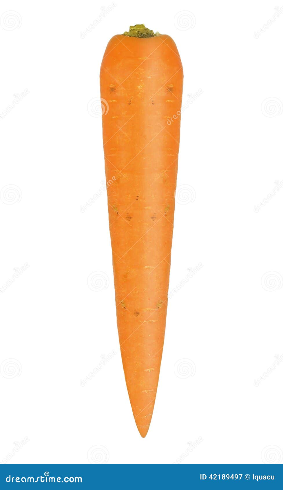 Carrot stock image. Image of ripe, studio, healthy, carrots - 42189497
