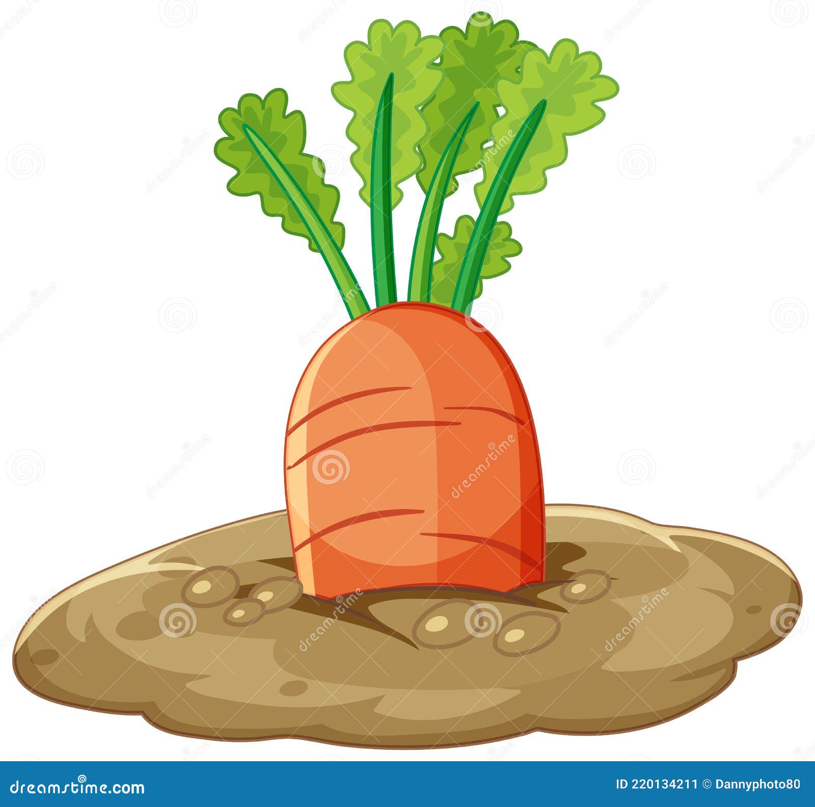 Carrot Root Vegetable With Green Leaves Isolated On White. Digital Art ...