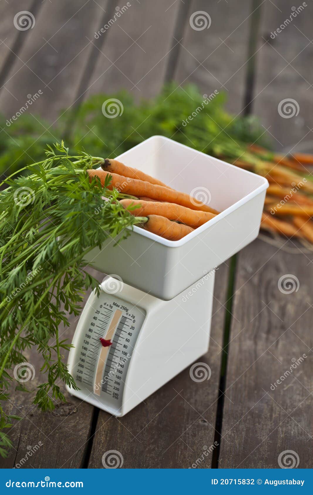 Carrot and Scale stock photo. Image of instrument, kilogram - 20715832
