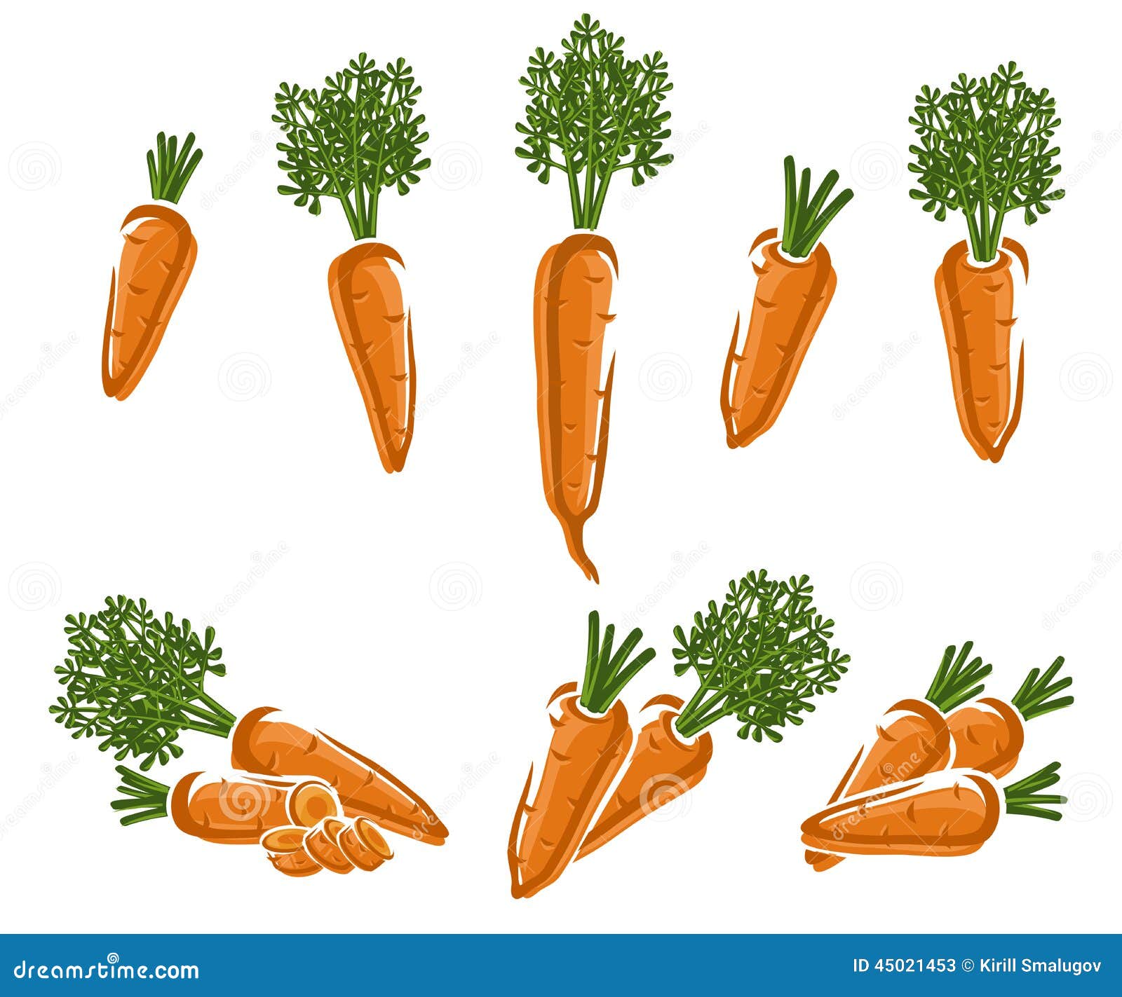 Carrot set. Vector stock vector. Illustration of food - 45021453