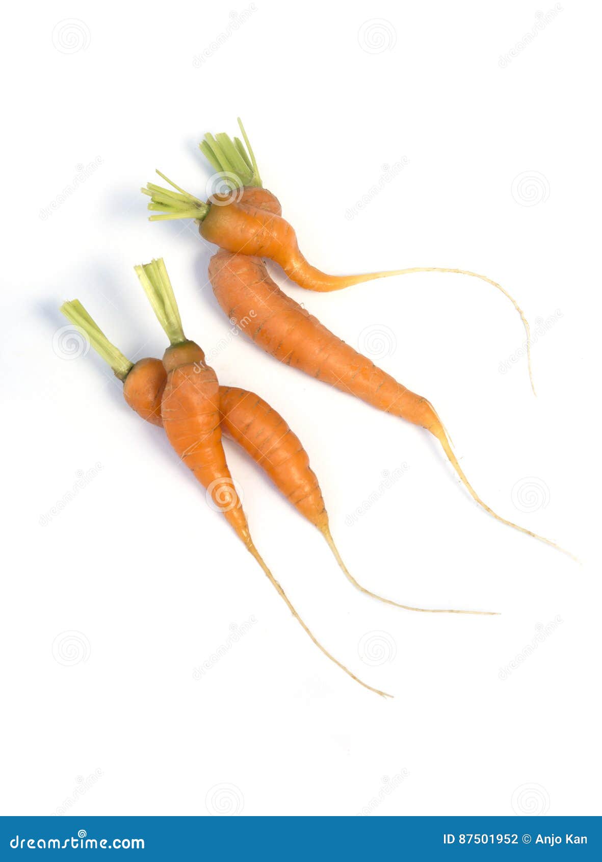 Carrot Shapes Isolated on a White Background Stock Photo - Image of ...