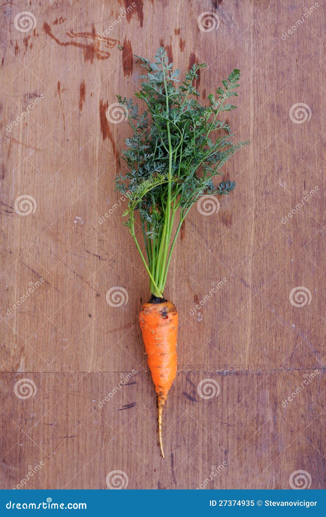Carrot on the table stock image. Image of carotene, orange - 27374935