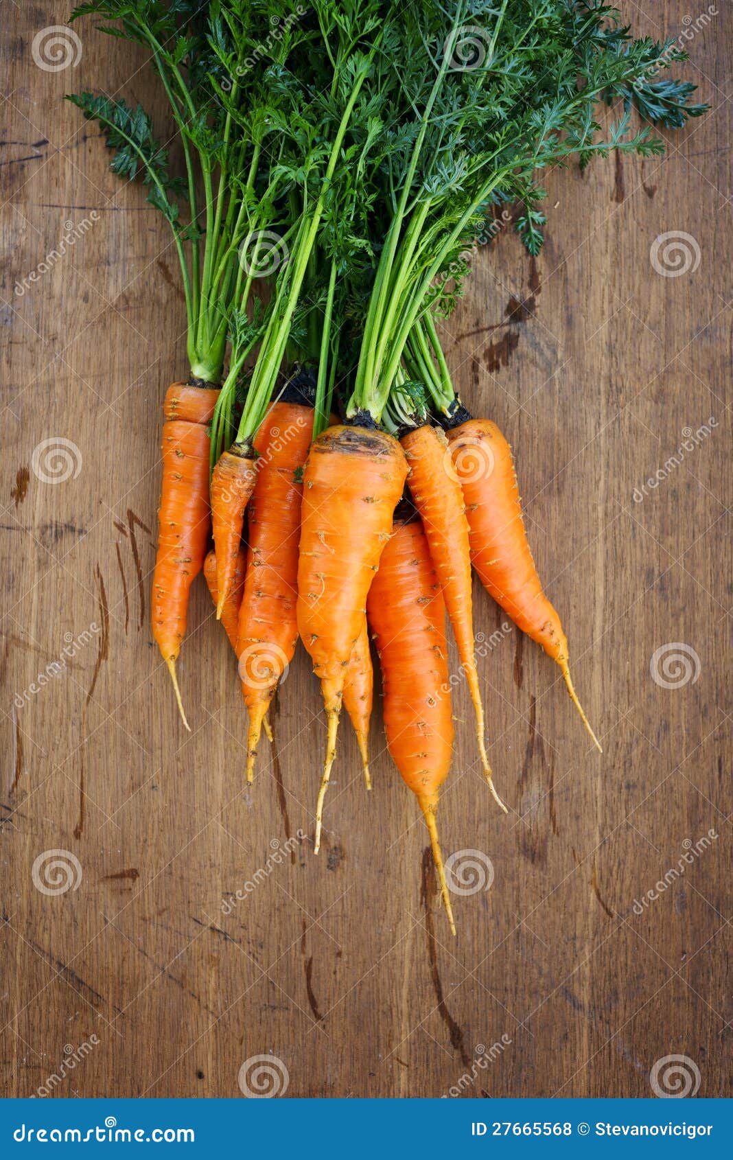 Carrot on the table stock photo. Image of fresh, garden - 27665568