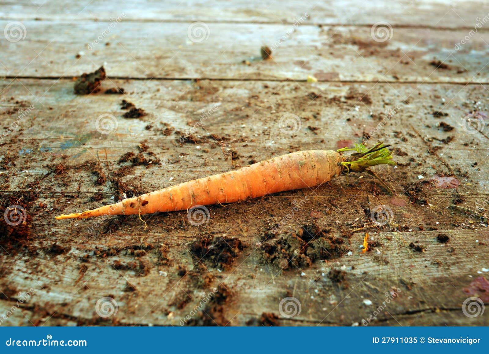Carrot on the table stock image. Image of nutrition, plant - 27911035