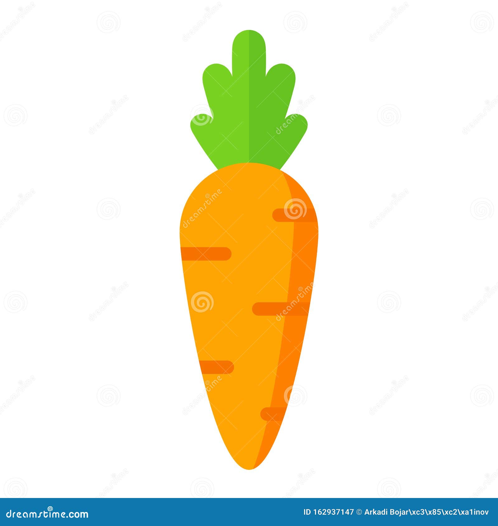 Carrot. Vector Drawing | CartoonDealer.com #158516028