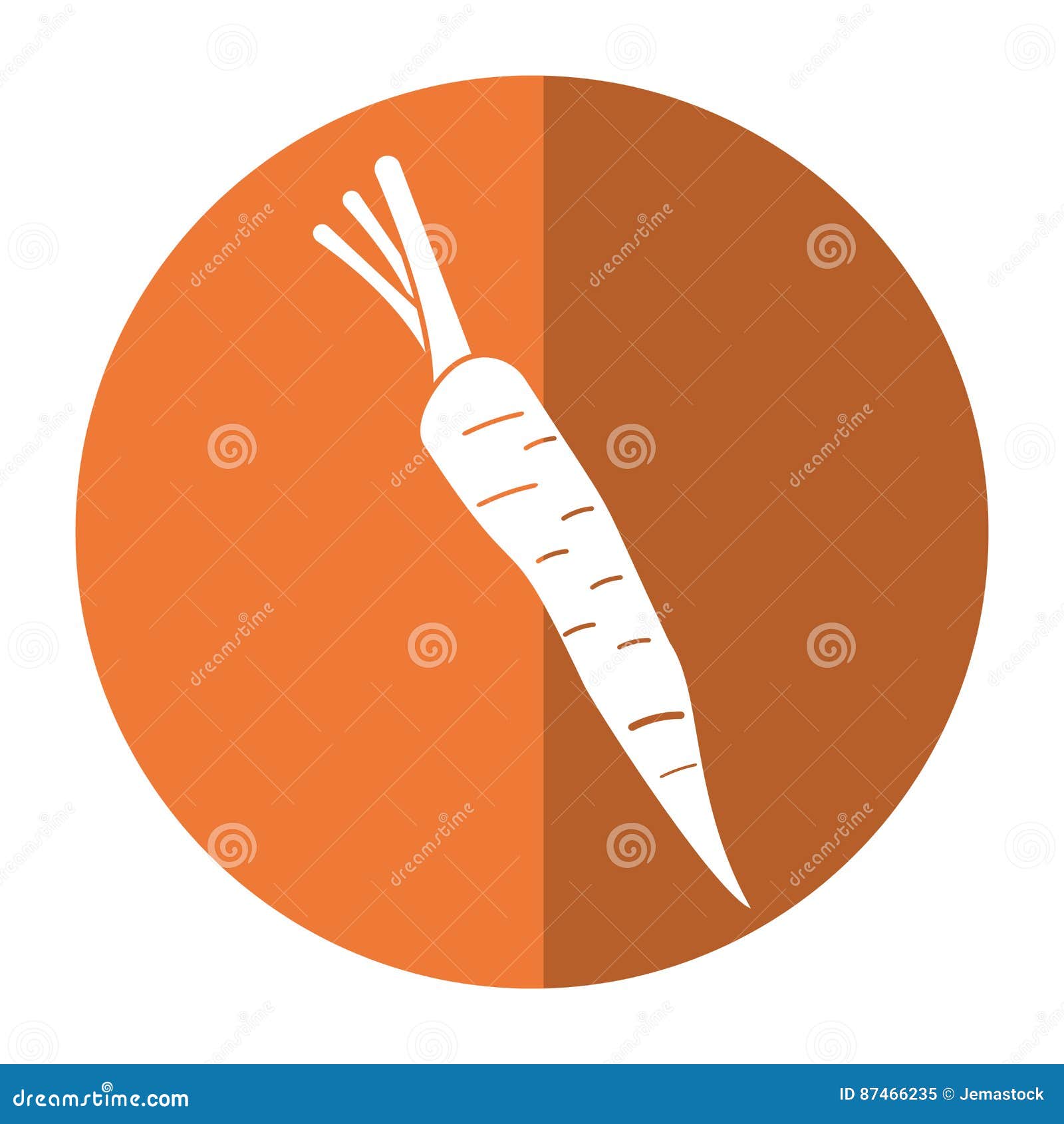Carrot Vegetable Nutrition Shadow Stock Vector - Illustration of color ...