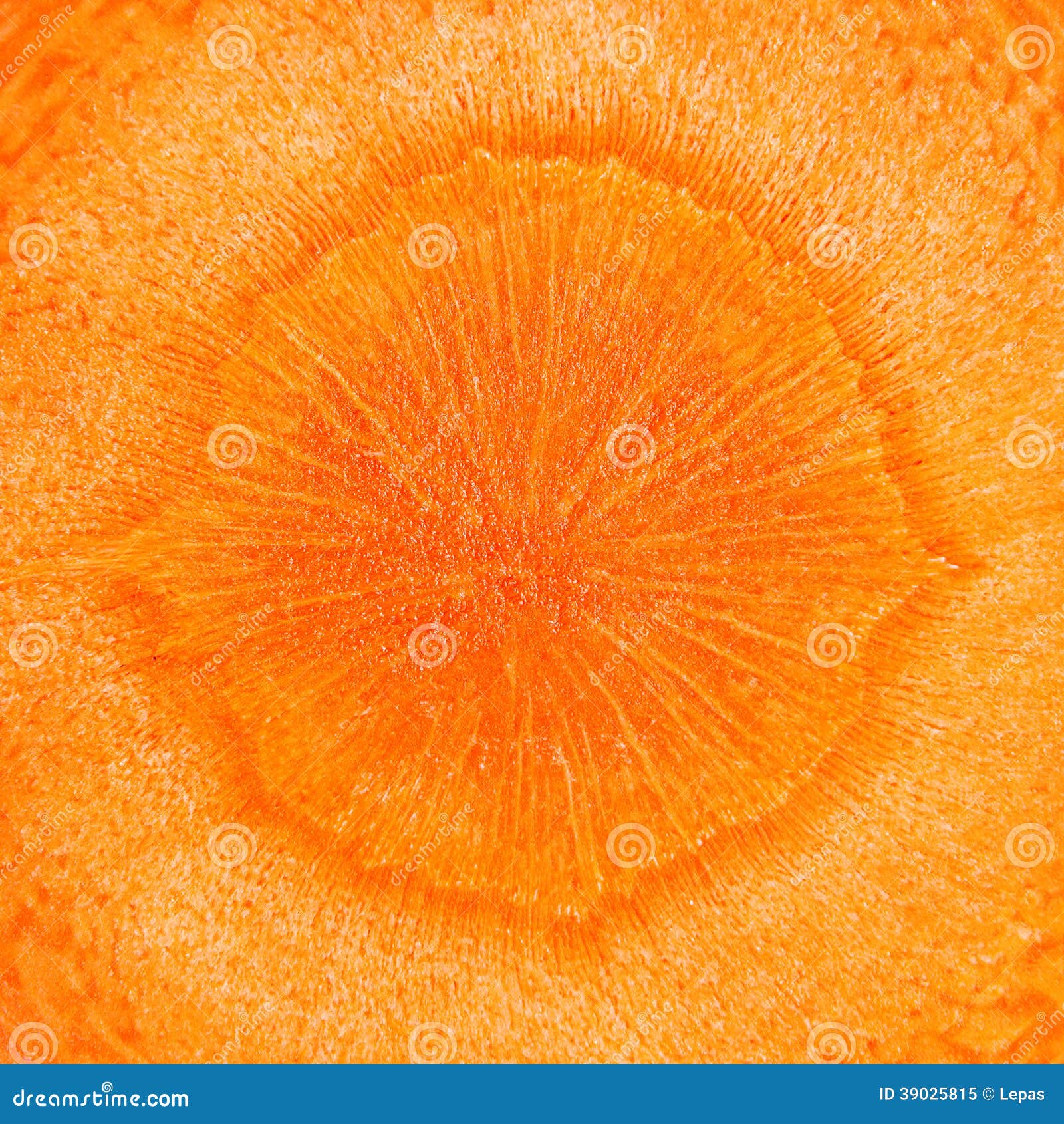 Carrot Vegetable With Leaves Stock Image | CartoonDealer.com #31871995