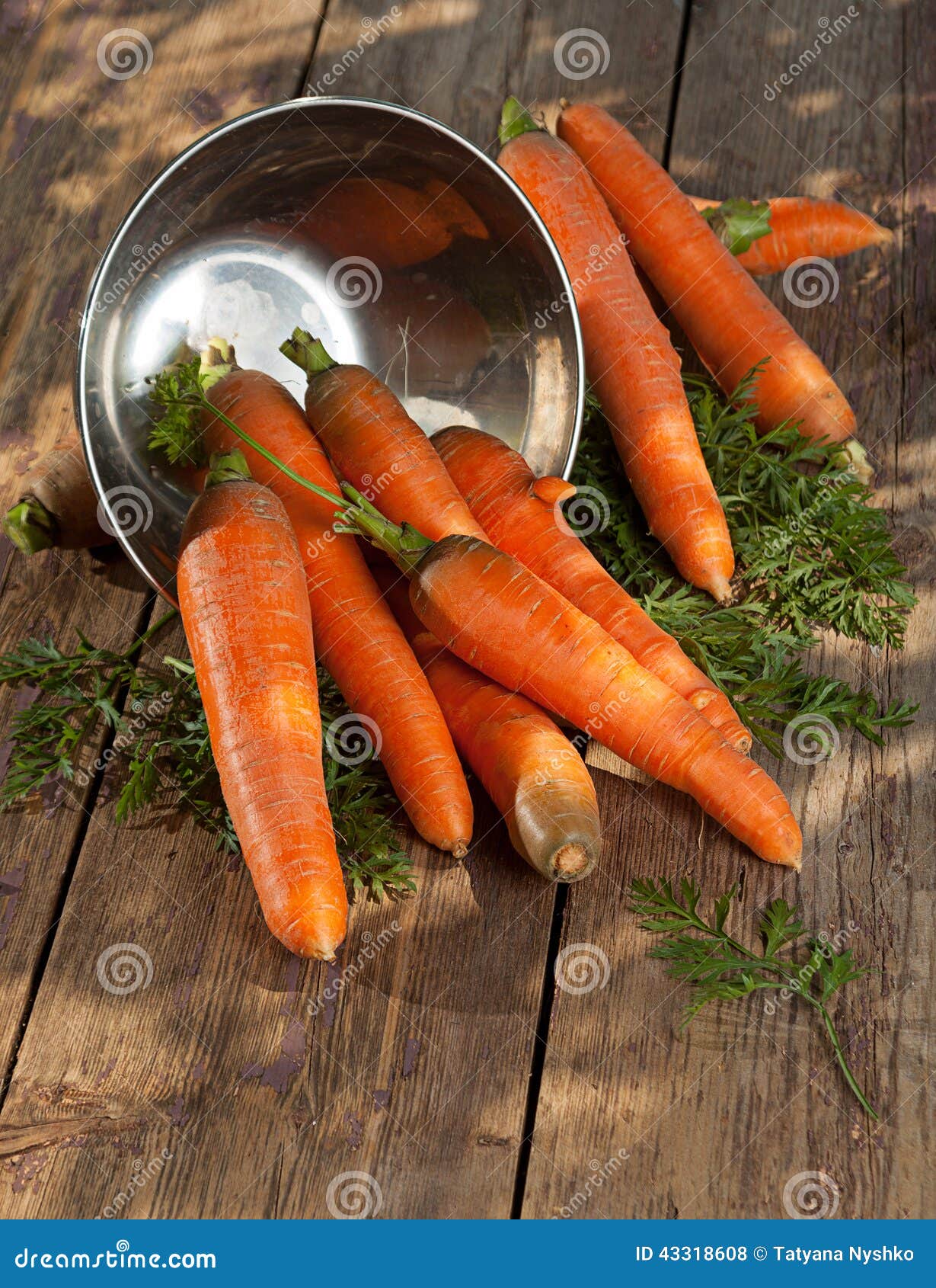 Carrot Vegetable on Wood Table Stock Photo - Image of natural, yellow ...