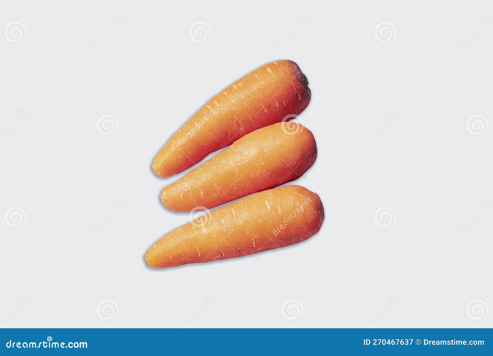 Carrot on a White Background. Minimal Style Stock Image - Image of ...