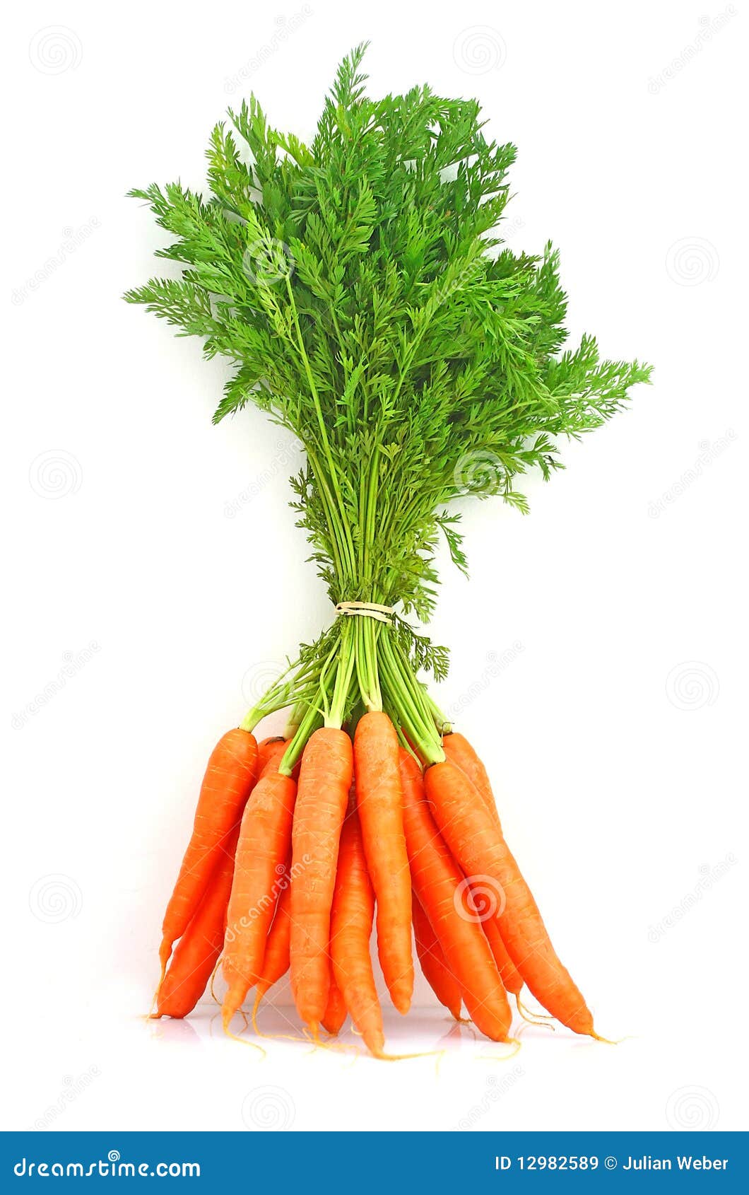 Carrots stock image. Image of ingredient, health, agricultural - 12982589