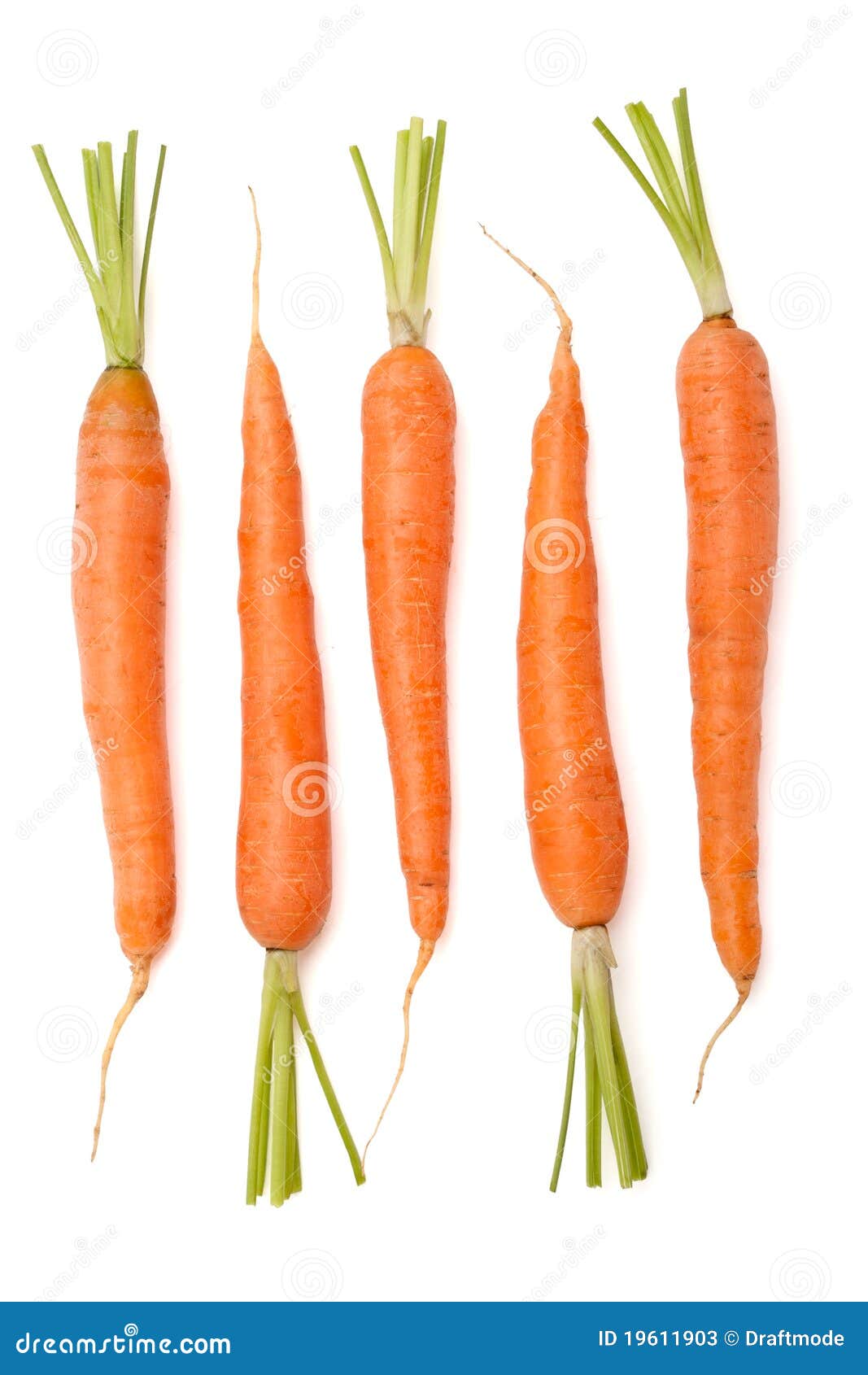 Carrots stock image. Image of color, isolated, dietary - 19611903