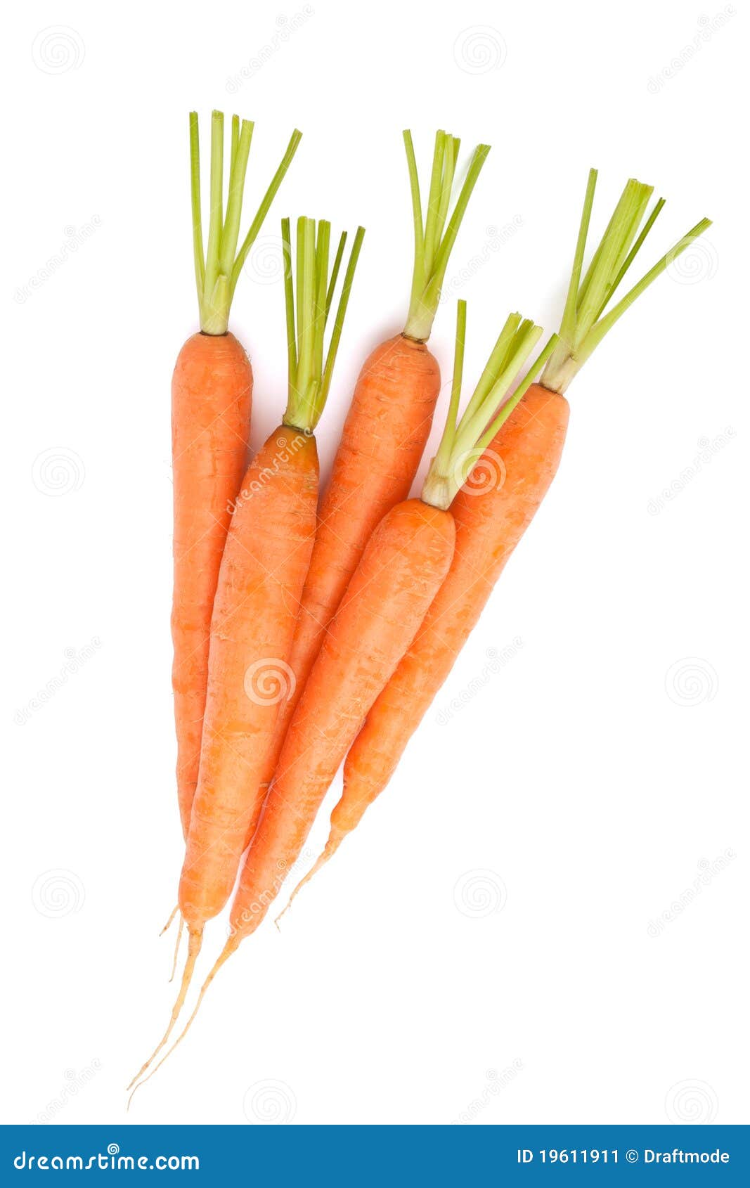 Carrots stock image. Image of detail, cooking, sharp - 19611911