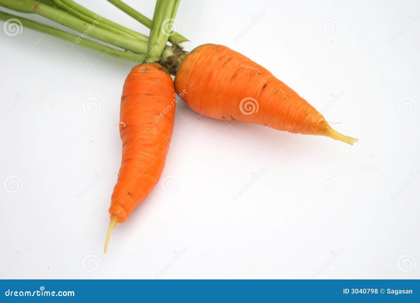 Carrots stock photo. Image of lifestyle, dieting, horizontal - 3040798