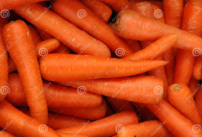 Carrots stock image. Image of fiber, diet, harvest, food - 305587