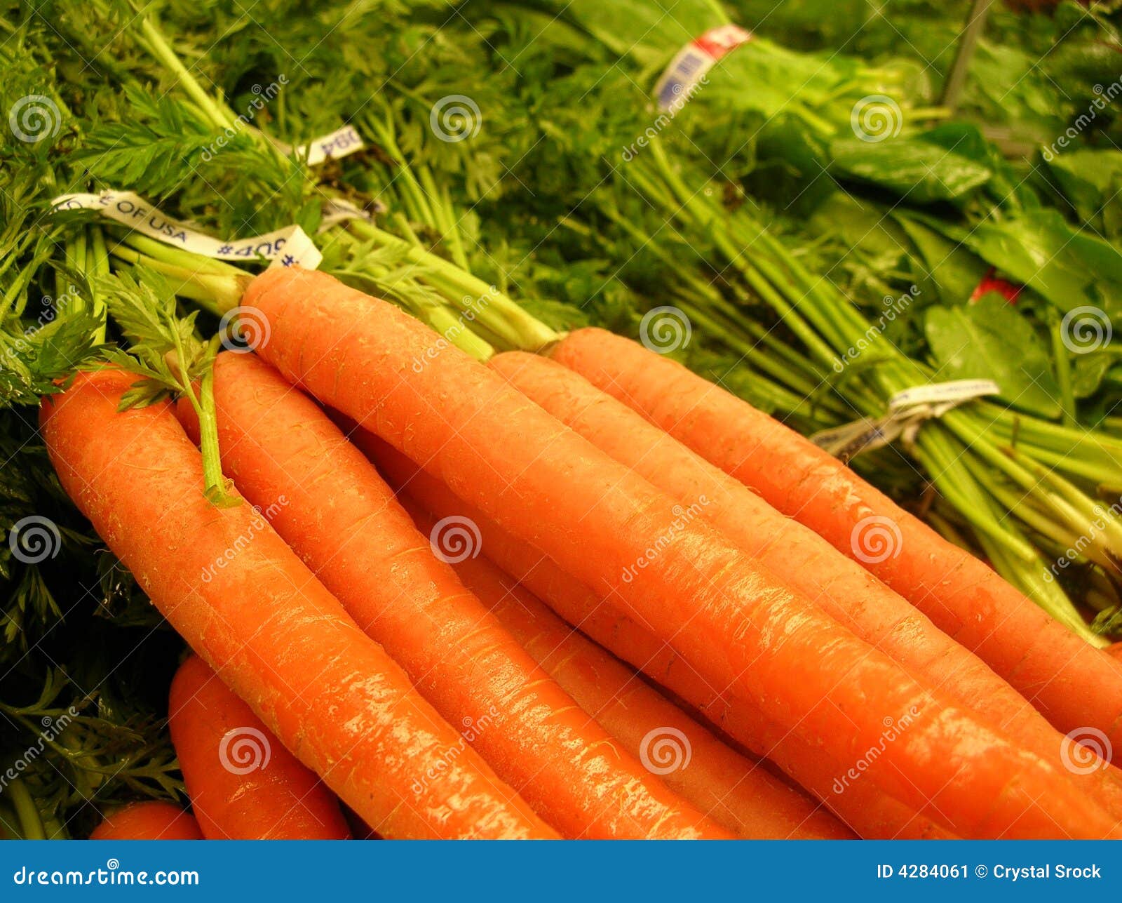 Carrots stock image. Image of carrot, carrots, healthy - 4284061