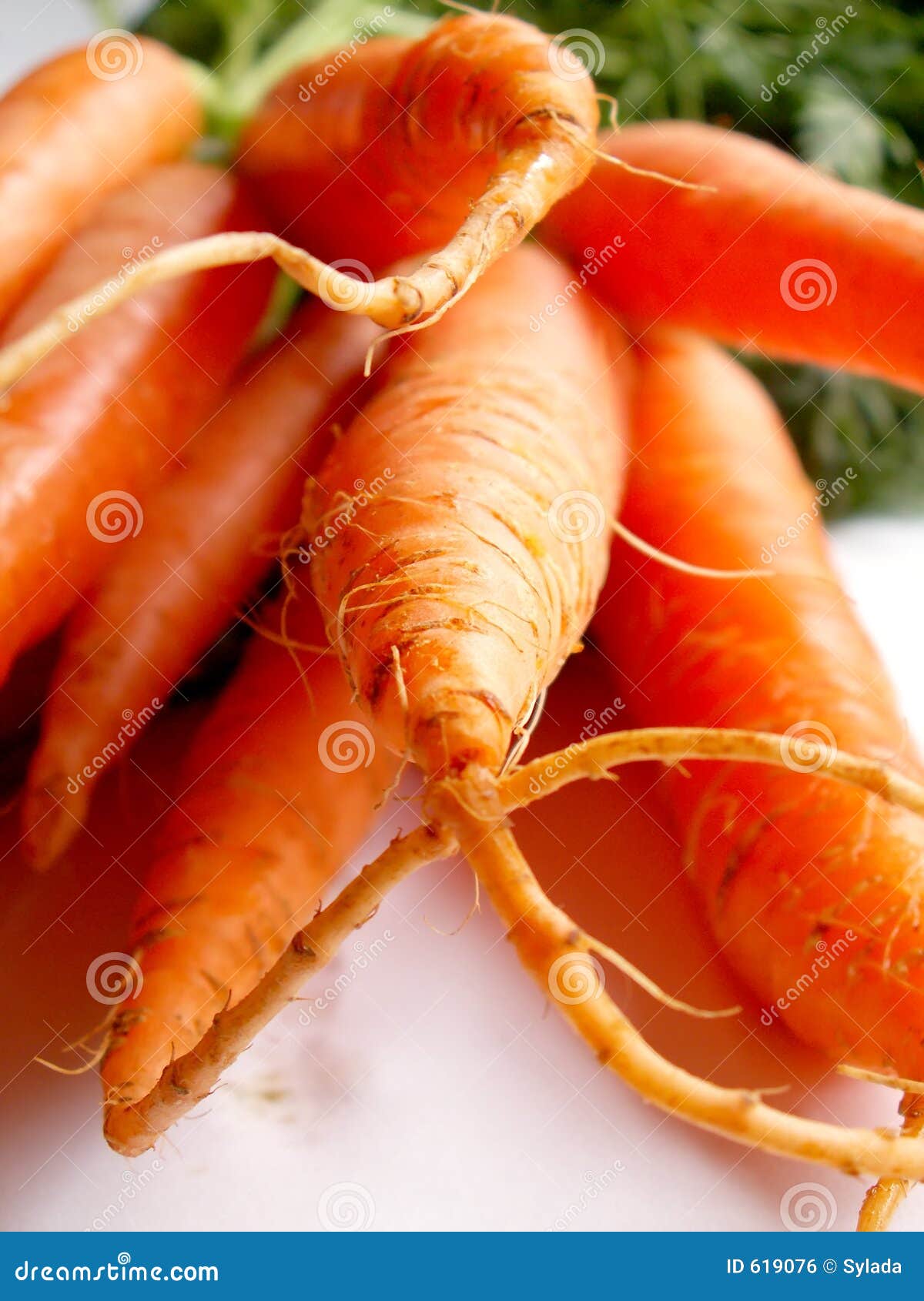 Carrots stock photo. Image of nutrition, produce, food - 619076