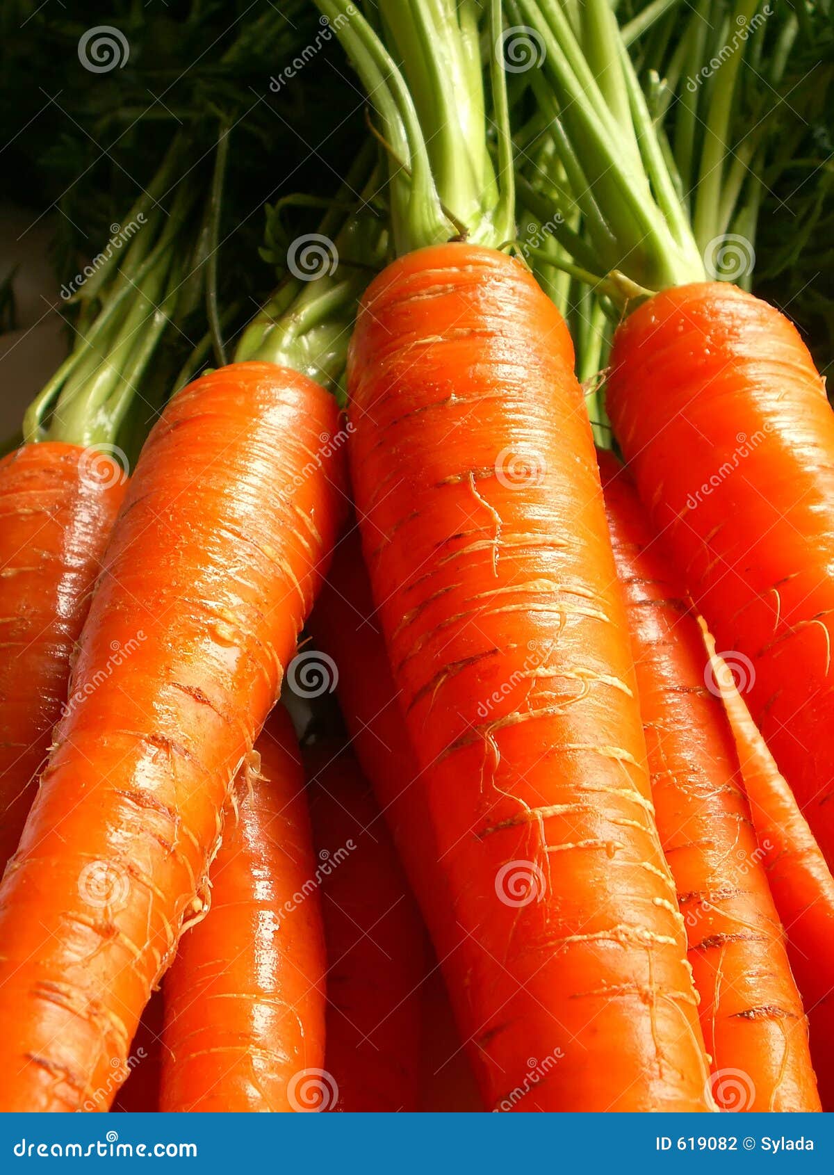 Carrots stock photo. Image of nutrients, health, nutrition - 619082