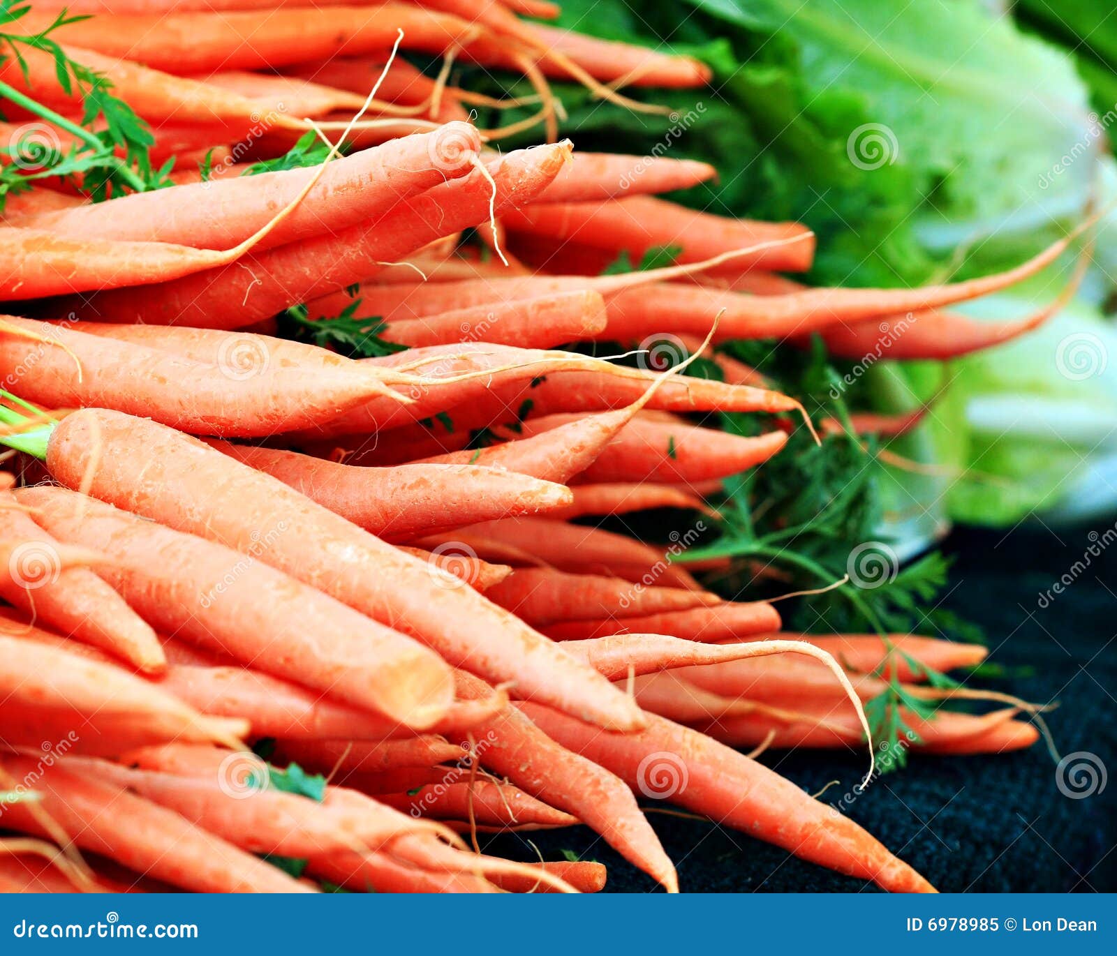 Carrots stock image. Image of roots, produce, farms, garden - 6978985