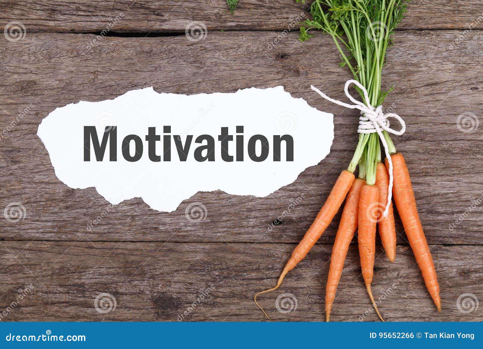 Carrots as motivation stock photo. Image of market, carrots - 95652266