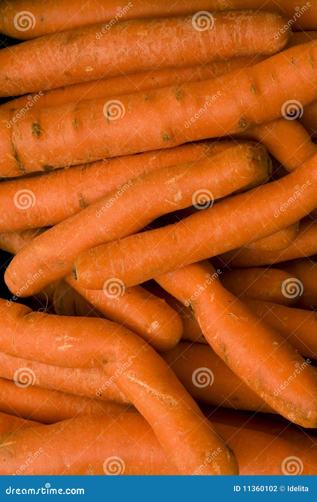 Carrots Background stock photo. Image of orange, scattered - 11360102