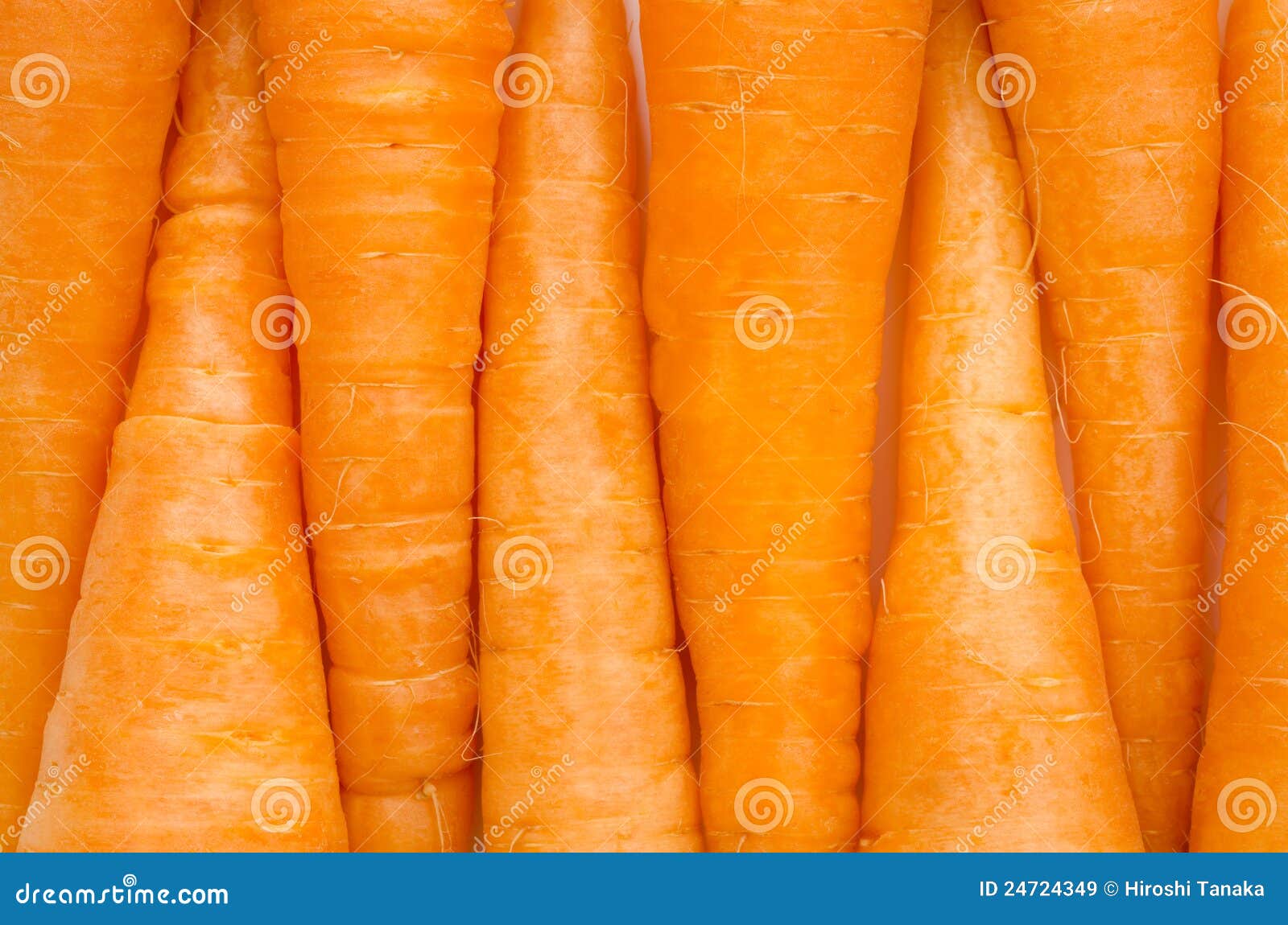 Carrots background stock image. Image of life, background - 24724349