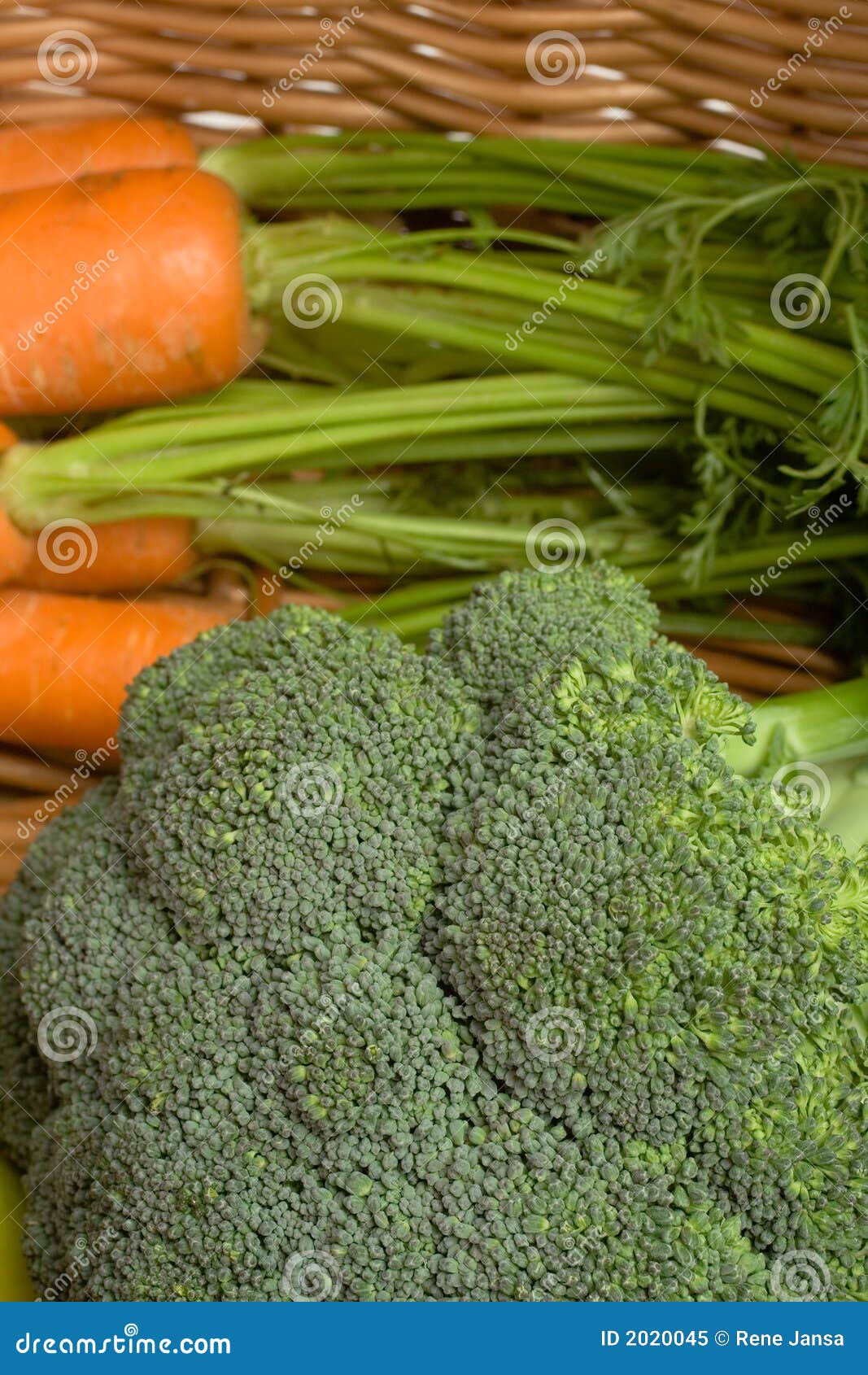 Carrots and Broccoli stock image. Image of picked, head - 2020045