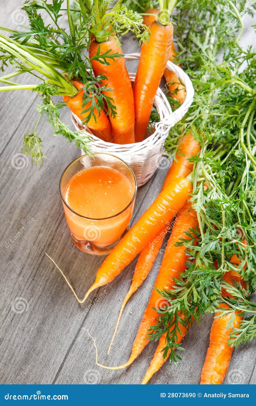 Carrots bunches stock photo. Image of vegetable, closeup - 28073690