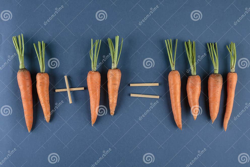 Carrots and Children Mathematics Stock Image - Image of school, concept ...