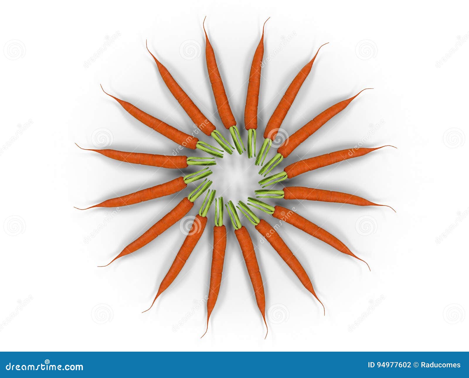 Carrots circular array stock illustration. Illustration of leaves ...