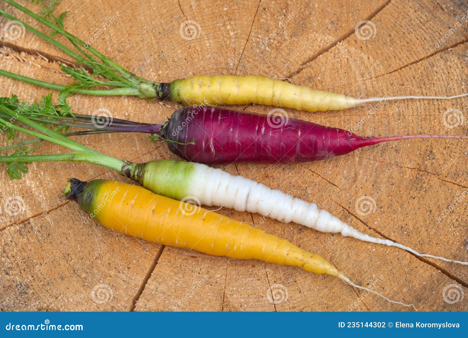 Carrots of Different Colors are Lying on a Stump Stock Photo - Image of ...