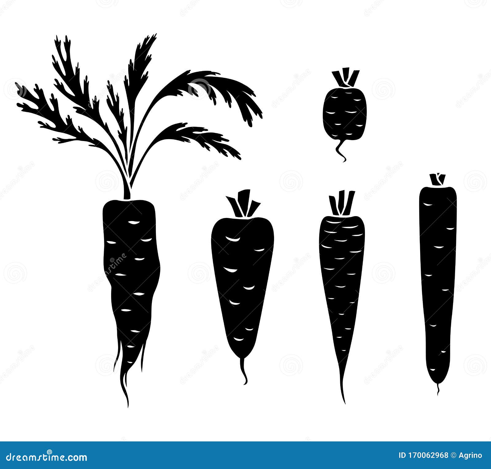 Carrots of Different Varieties and Shapes Icon Set Stock Vector ...
