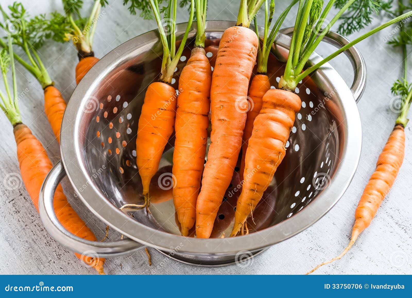 Carrots stock photo. Image of harvest, cooking, organic - 33750706