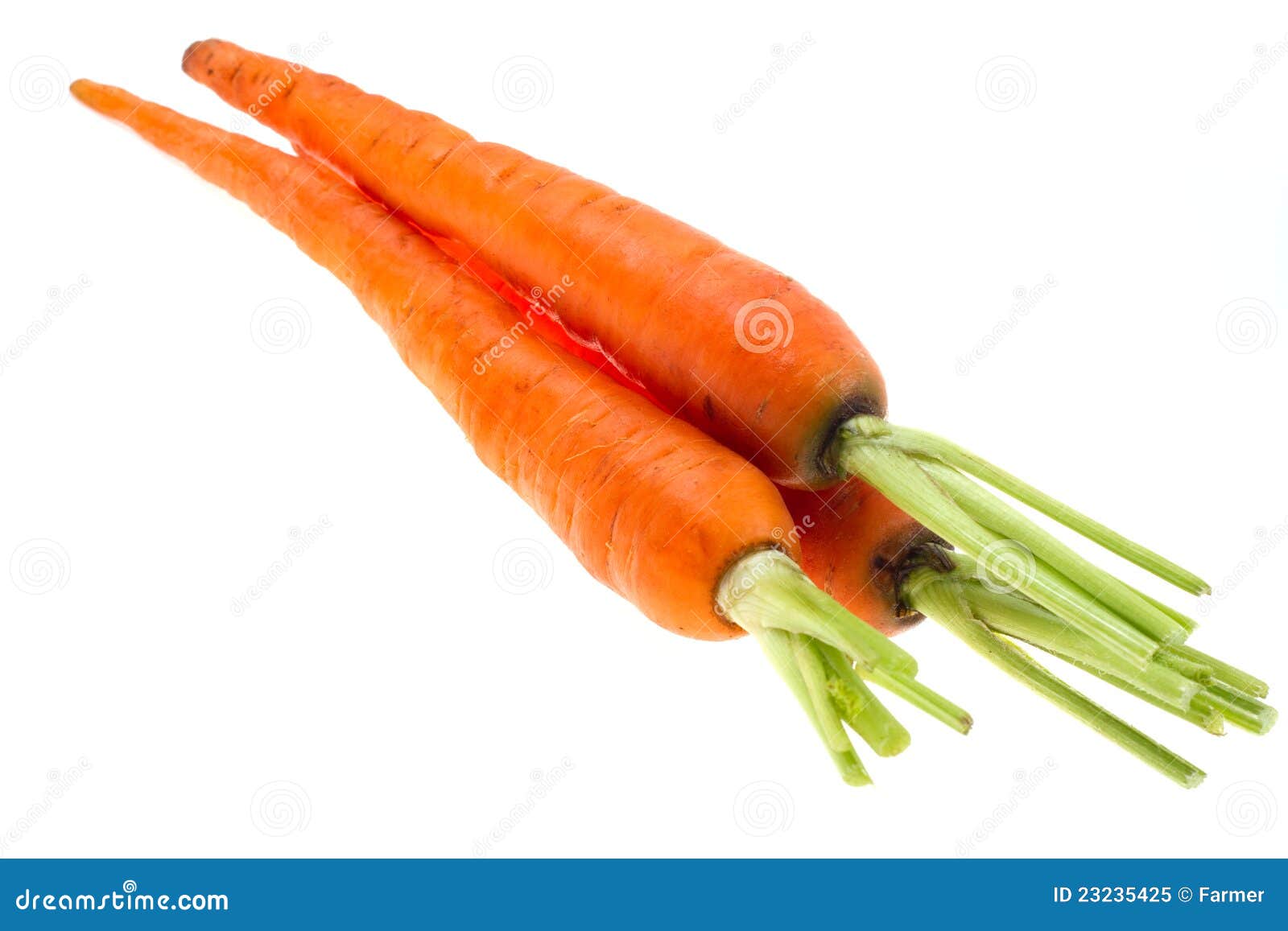 Carrots isolated stock image. Image of closeup, freshness - 23235425