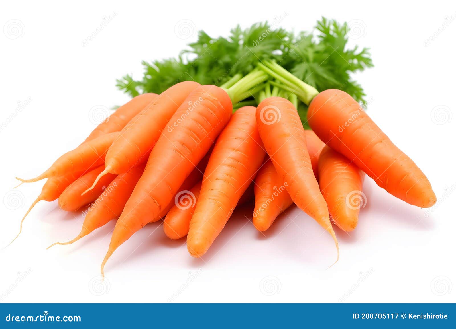 Carrots Isolated on White Background Stock Illustration - Illustration ...